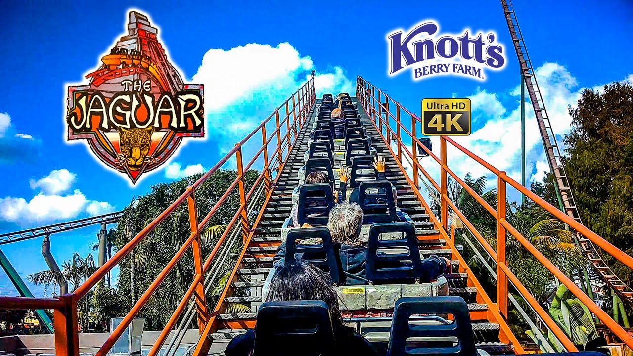 2024 Jaguar! Roller Coaster On Ride 4K POV Knott's Berry Farm - YouTube