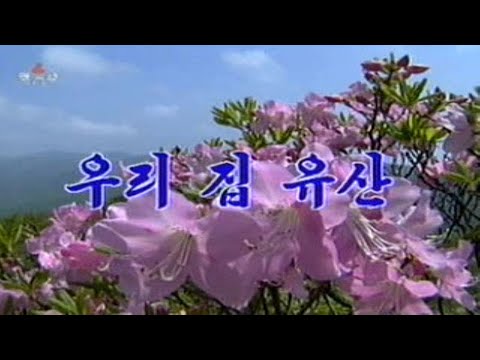 Pochonbo Electronic Ensemble - 우리 집 유산 (The Heritage of Our Home)
