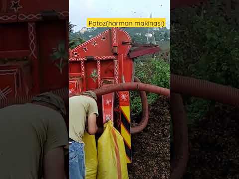 2022 fındık hasat sezonu fındığımızı patoza veriyoruz...  #fındık #patoz #ordu #traktor