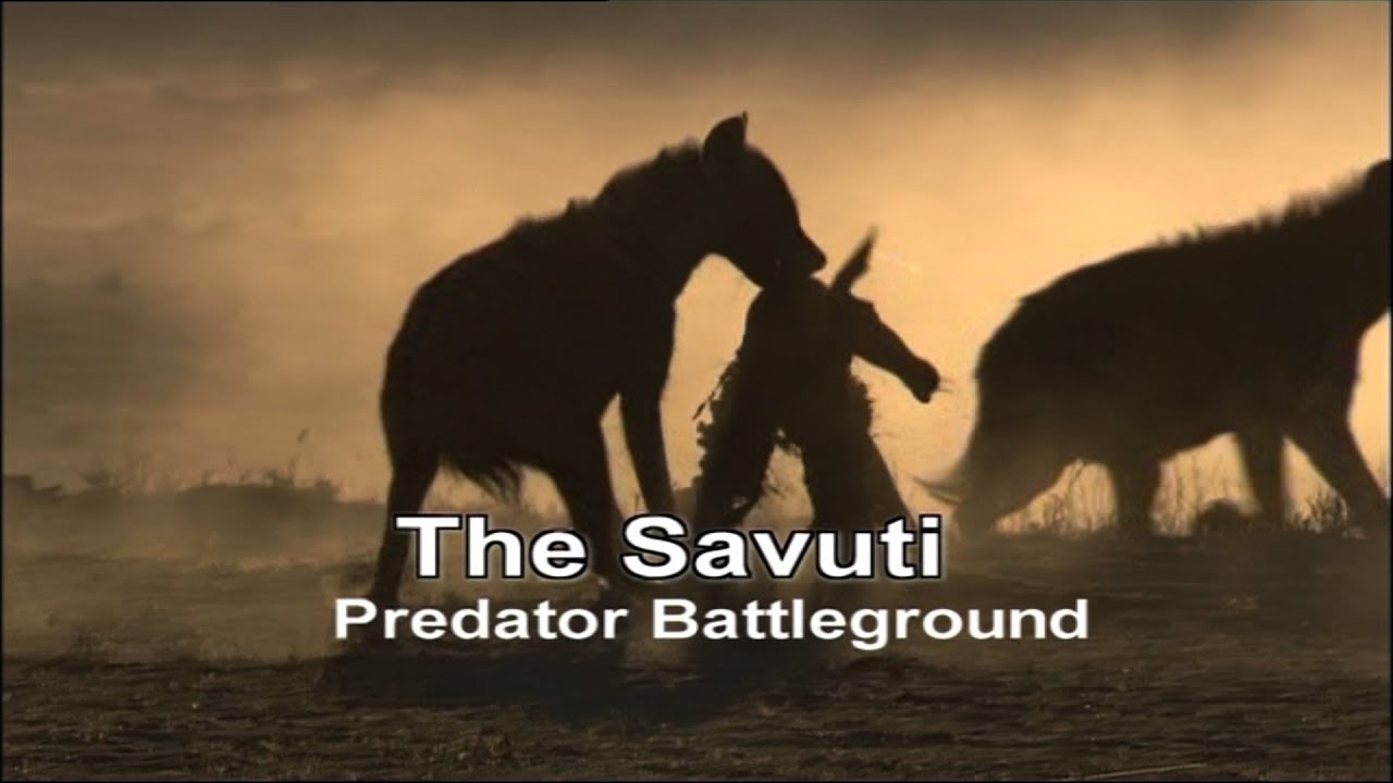 Predator Battleground - Teaser trailer - YouTube
