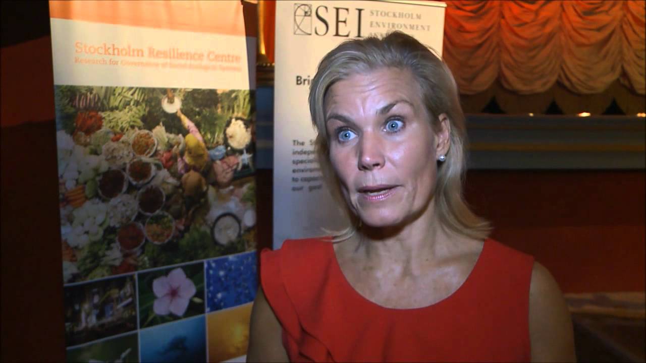 Gunilla Carlsson: why new sustainable development goals - YouTube