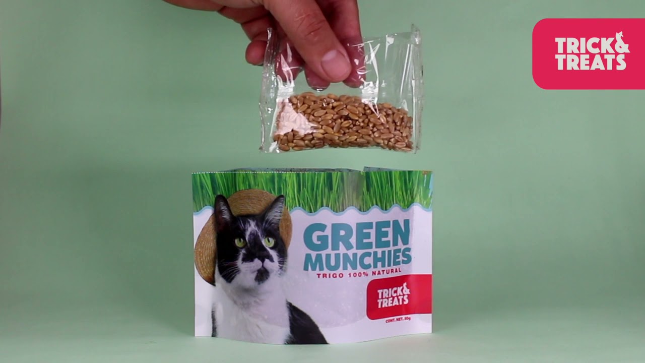 Tutorial Green Munchies - YouTube