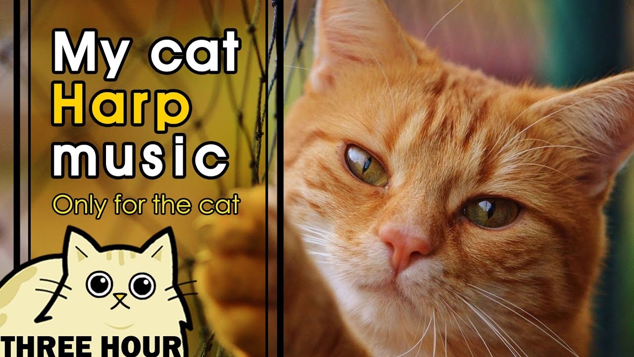 [MY CAT HARP MUSIC] 고양이 진정을 위한 부드러운 하프 소리, 고양이 자장가(Soft harp sounds for ...