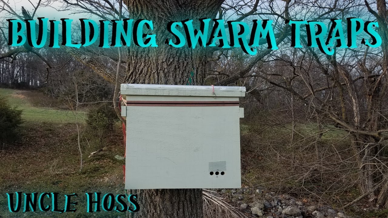 Building Honey Bee Swarm Traps - FREE BEES! - YouTube