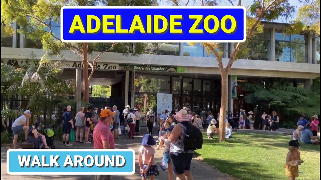 Adelaide Zoo Walk Around - YouTube