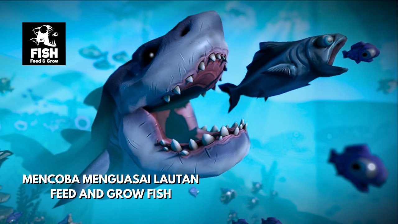 MENCOBA JADI IKAN TERKUAT KALAHKAN HIU DI LAUTAN - Feed and Grow Fish ...