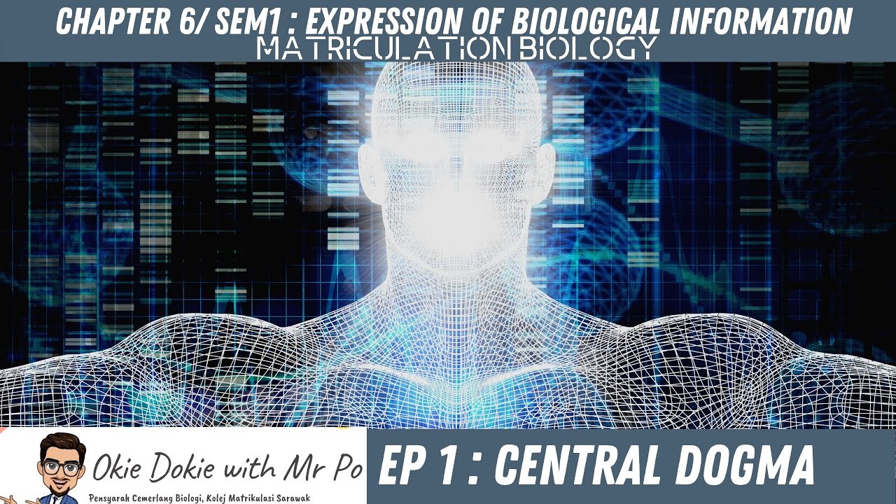 Chapter 6 EP 1 / Sem 1 : Central Dogma (Matriculation Biology) - YouTube