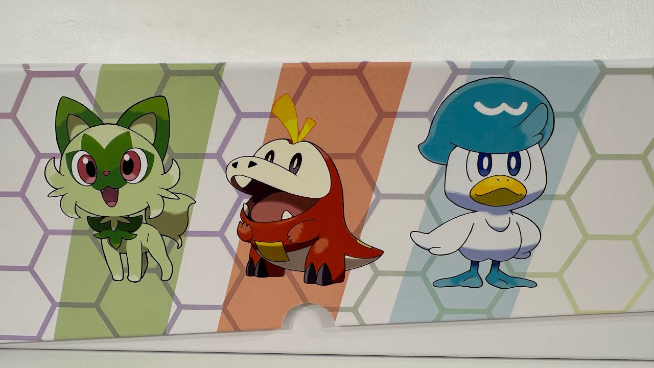 Pokémon TCG - Paldea First Partner Accessory Bundle Opening - YouTube