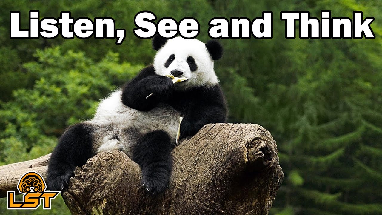 Listen, See and Think: Episode 87 - YouTube