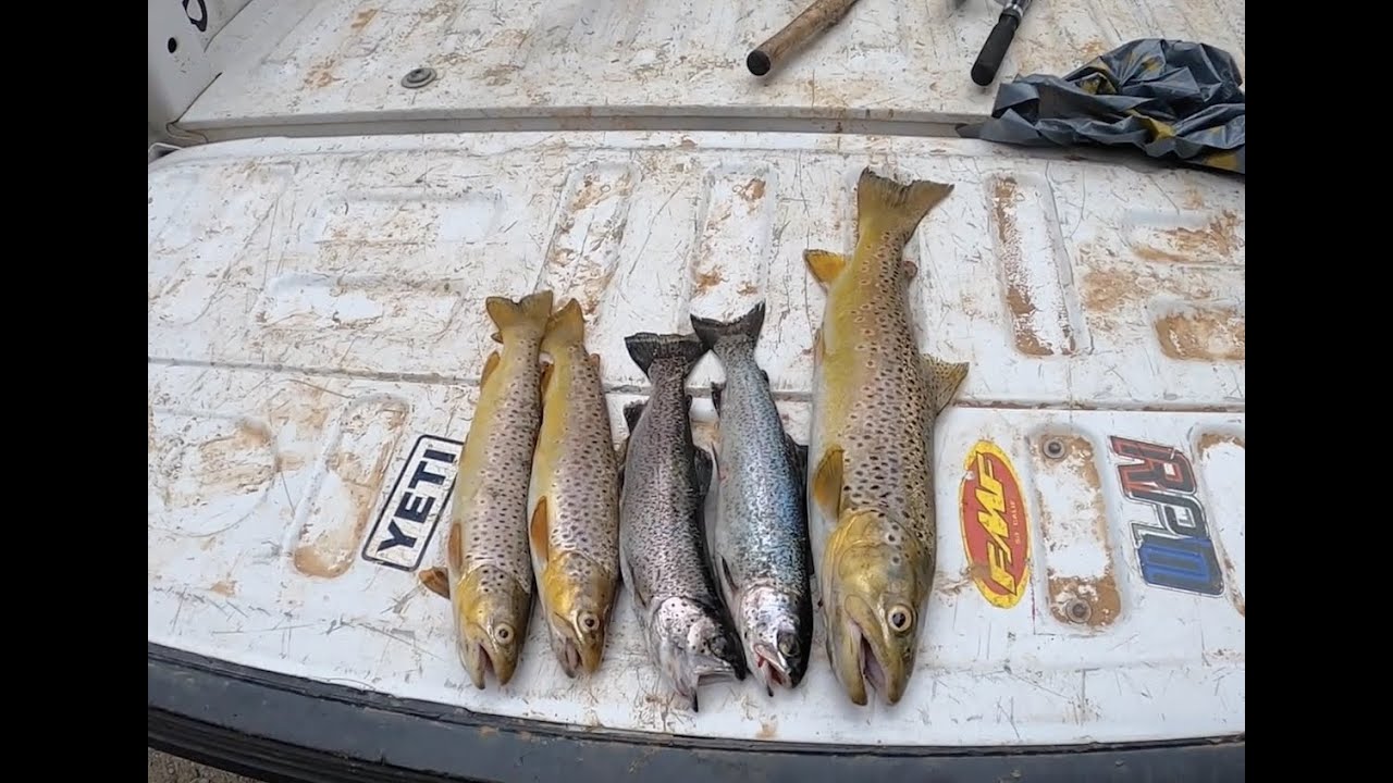 Trout Fishing BUCKS LAKE!! - YouTube