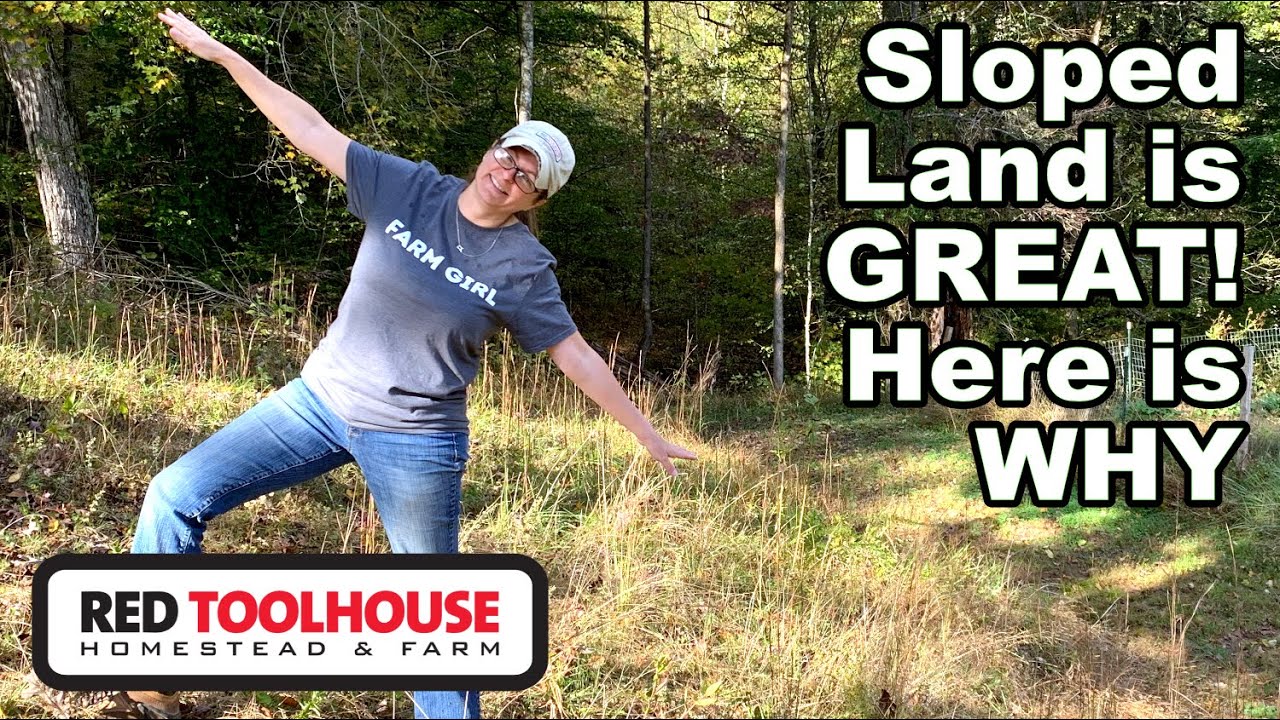 5 Reasons to Consider Buying SLOPED land for your Farm/Homestead - YouTube