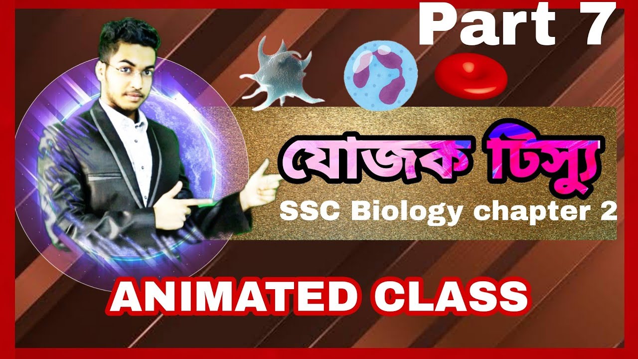 Connective tissue |p7|SSC Biology chapter 2 |Animated video| short ...