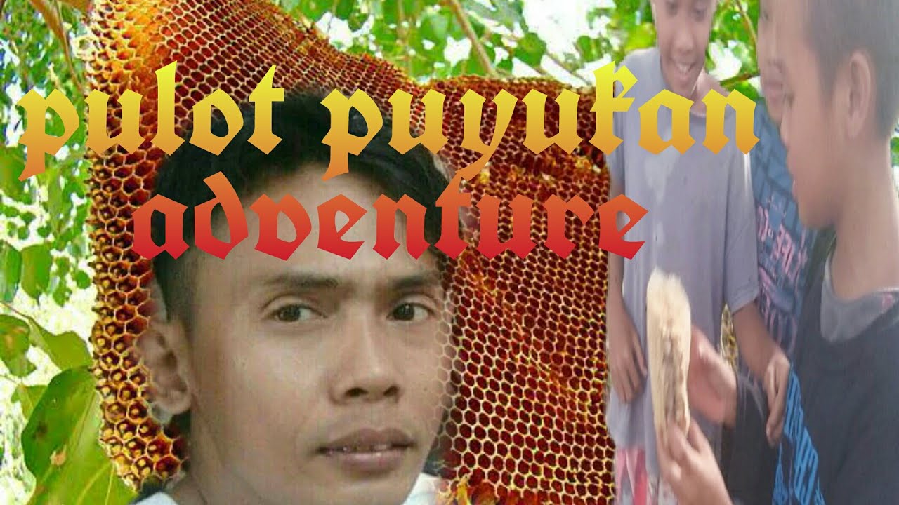 honey bee pulot putyukan - YouTube