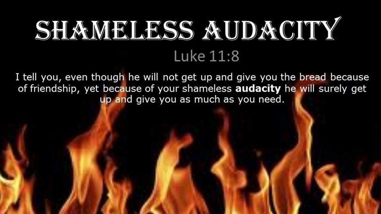 Shameless Audacity - YouTube