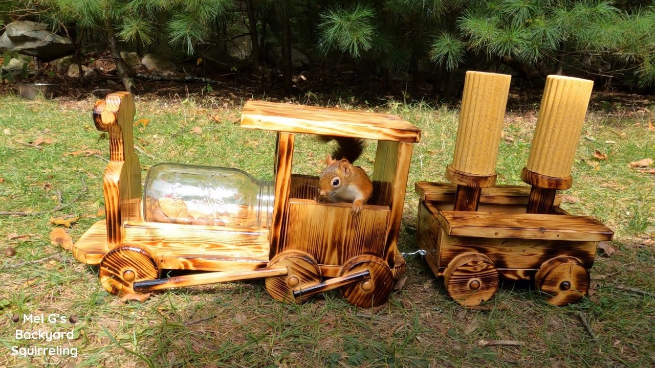 Three Red Squirrels and a Train - YouTube