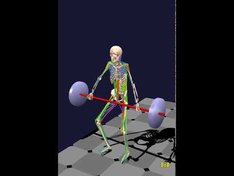Weightlifting biomechanics - YouTube