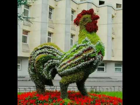 Доброе утро от Ксюши