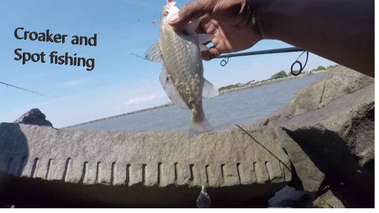 Croaker and Spot fishing - YouTube