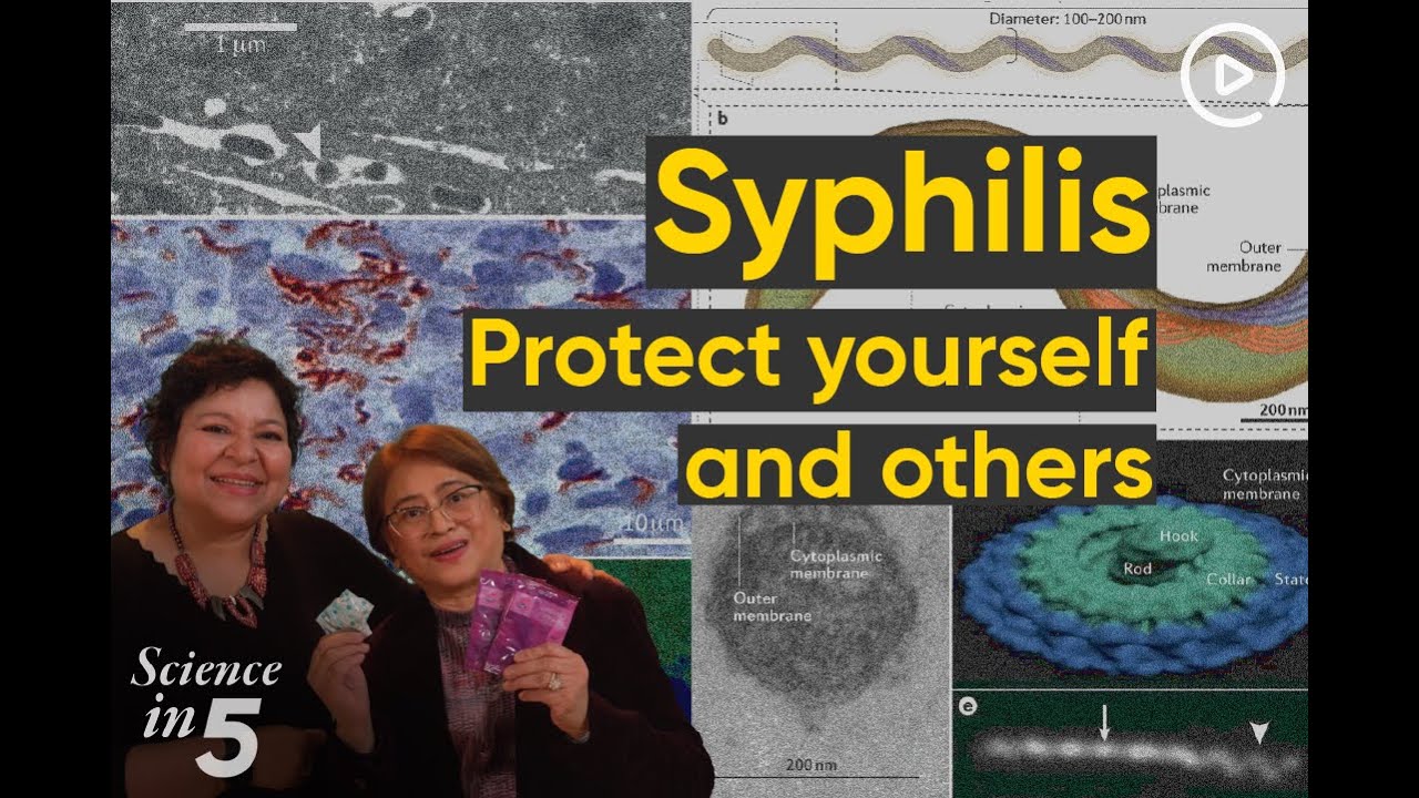 WHO's Science in 5 - Syphilis: Protect yourself and others - 5 December ...
