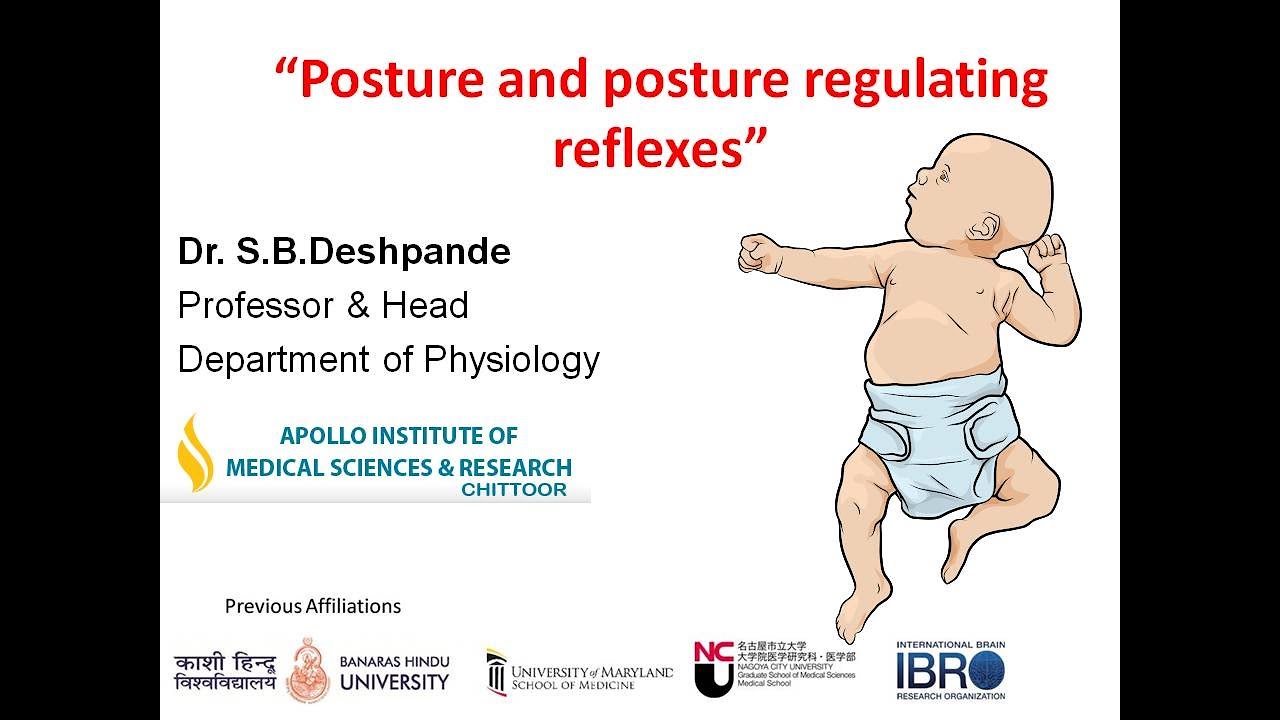 Physiology of Posture Regulating Reflexes by SB Deshpande - YouTube