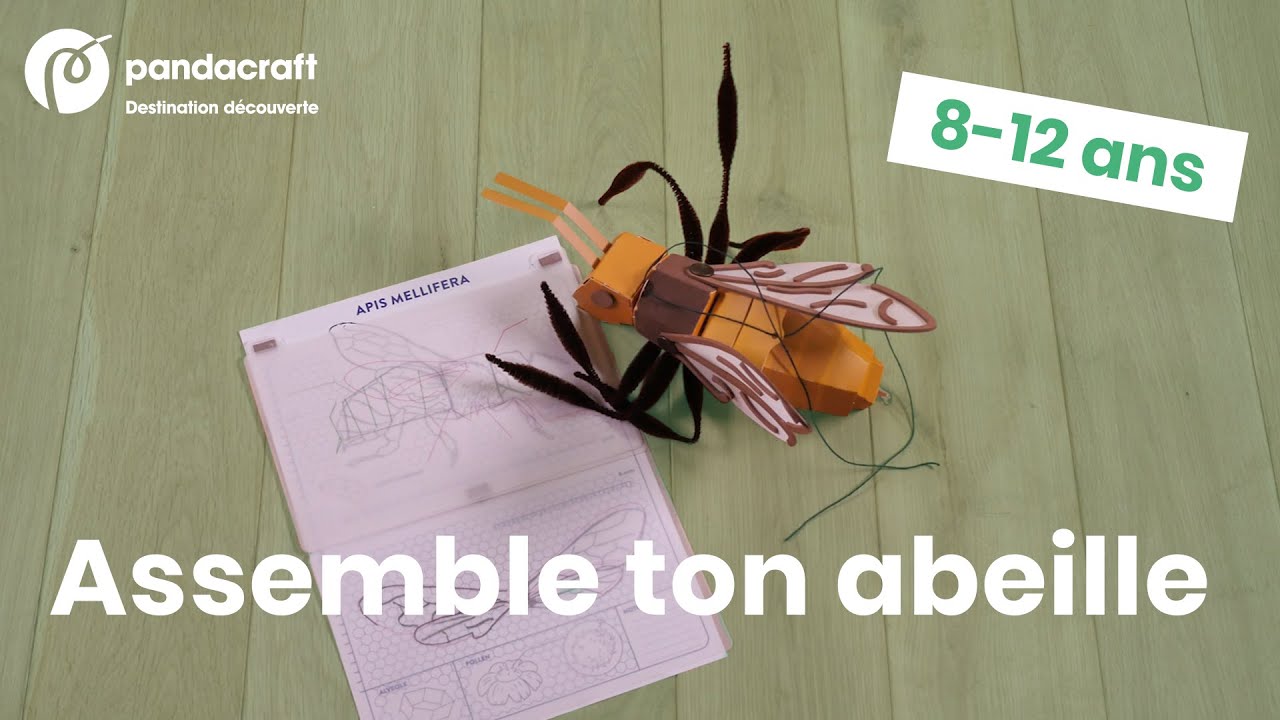 Assemble ton abeille ! - YouTube