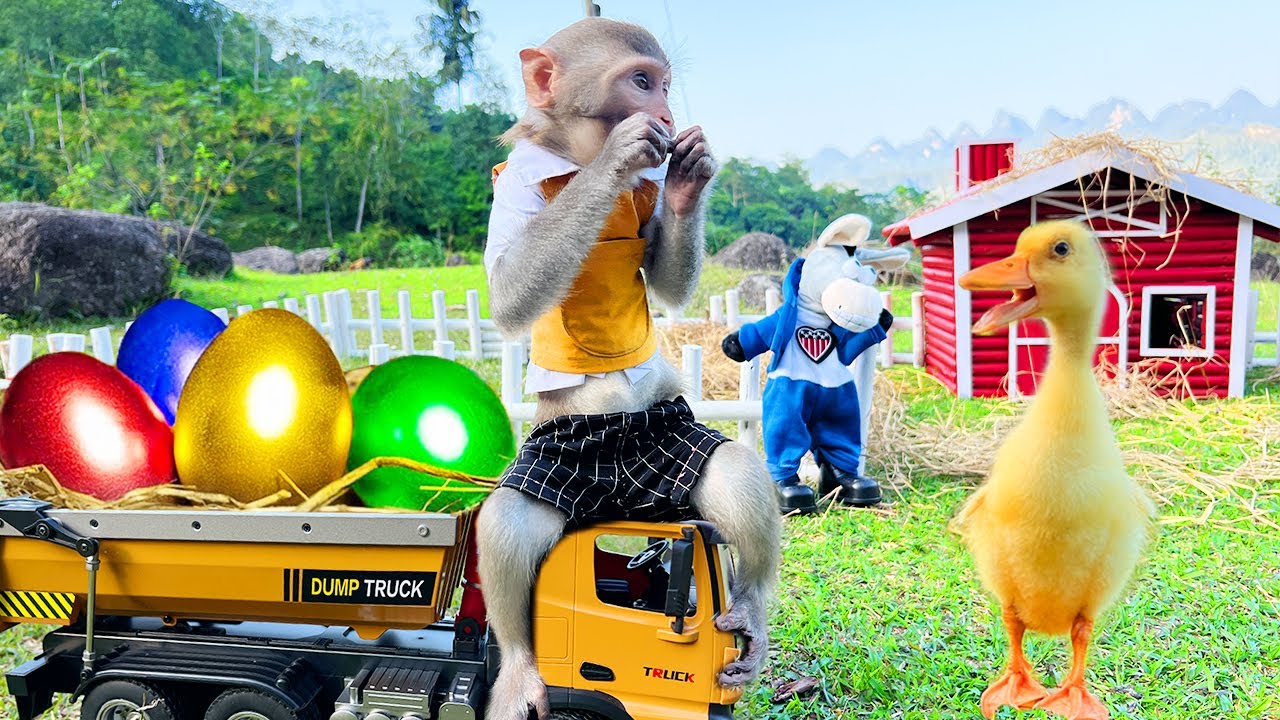 Smart Bim Bim Help duck Find COLORFUL EGGS | Funny and cute moments of ...