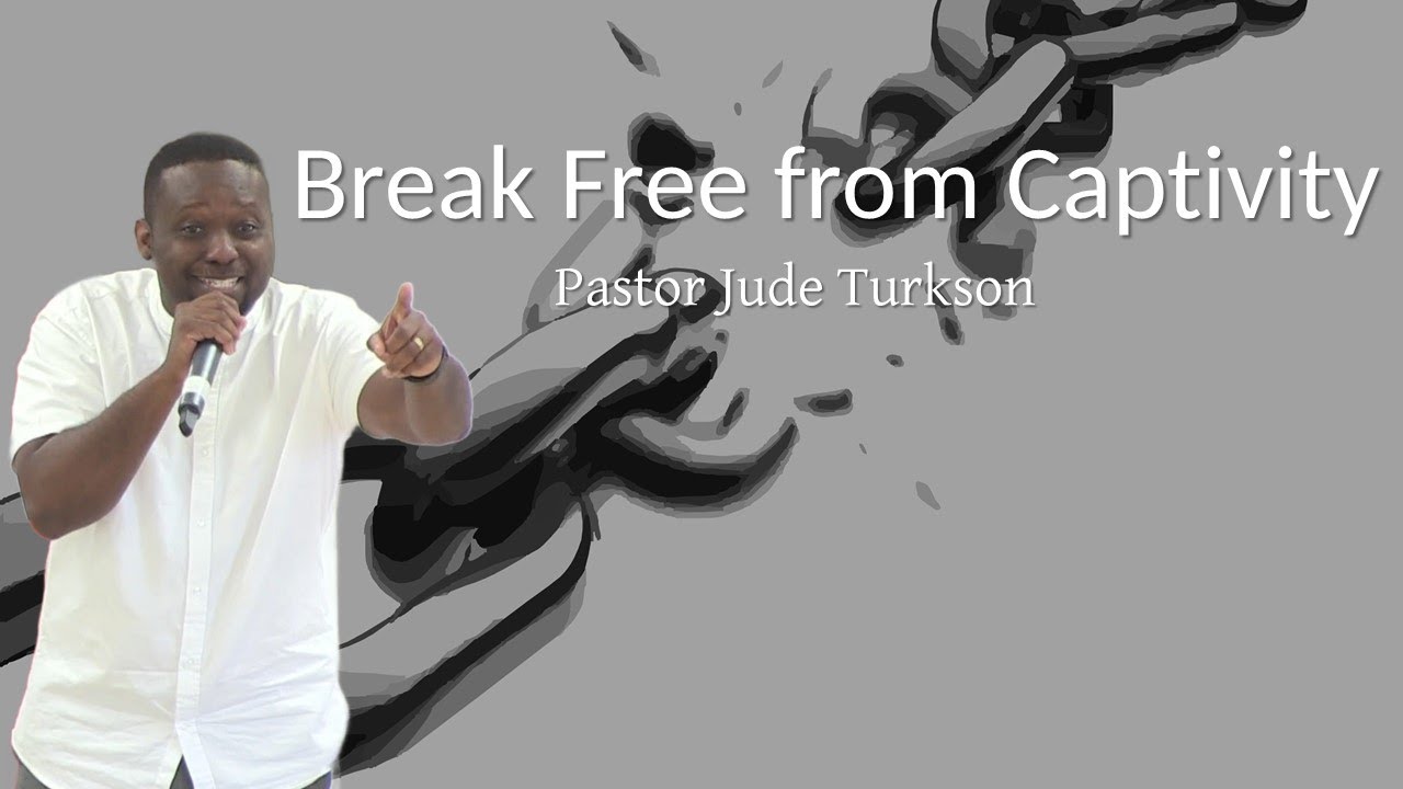 Break Free from Captivity - YouTube