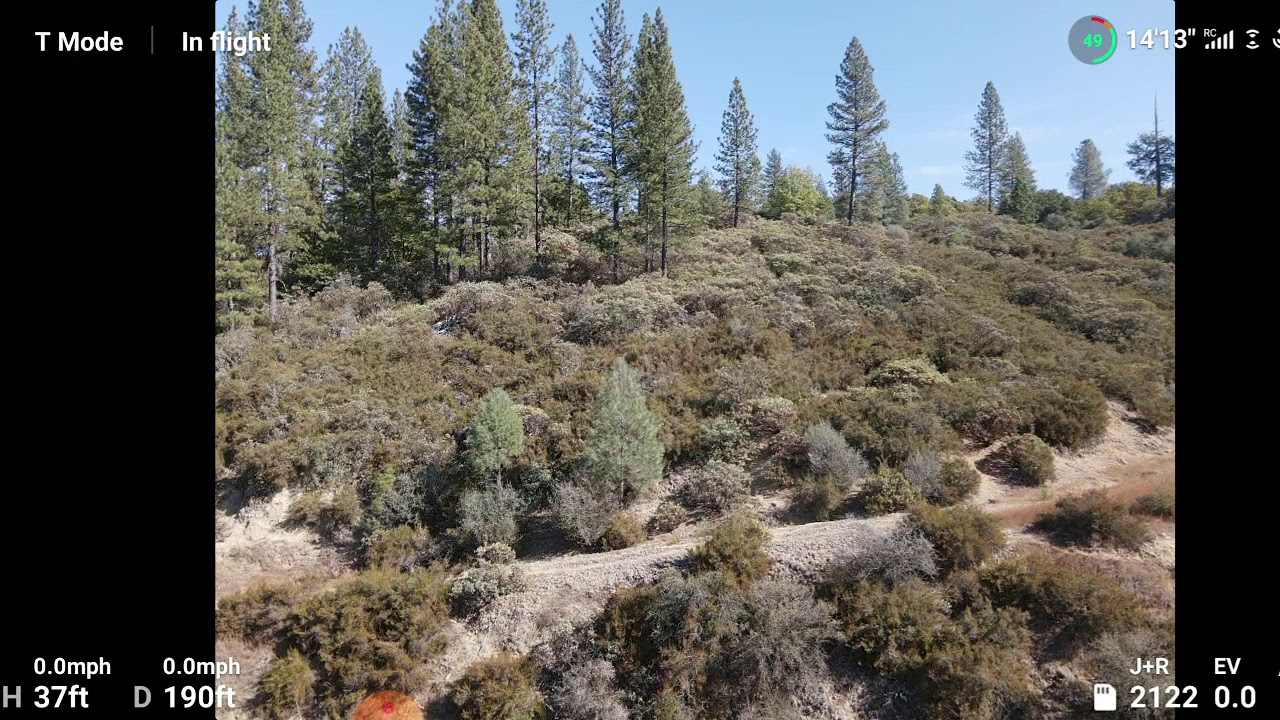 promise land - YouTube