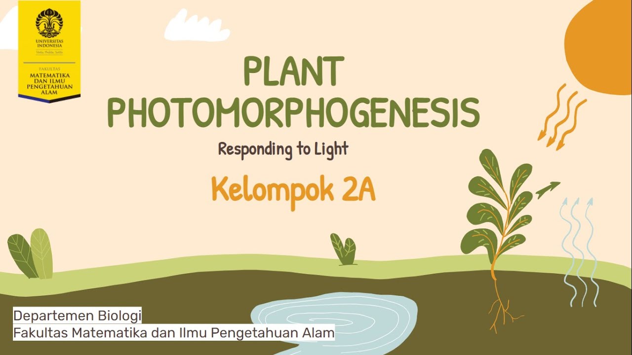 Plant Photomorphogenesis: Responding to Light – Kelompok 2A Pagi ...