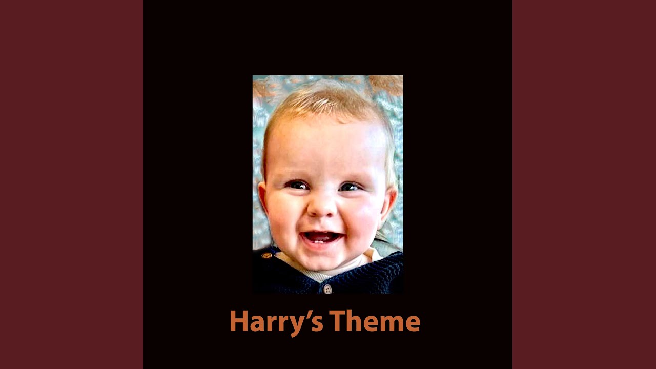 Harry's Theme (Instrumental Version) - YouTube