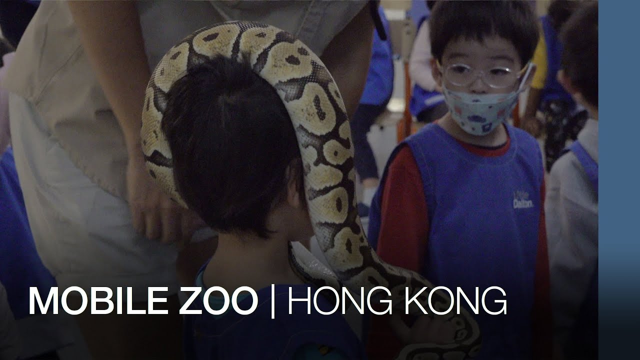 Mobile Zoo | Hong Kong - YouTube