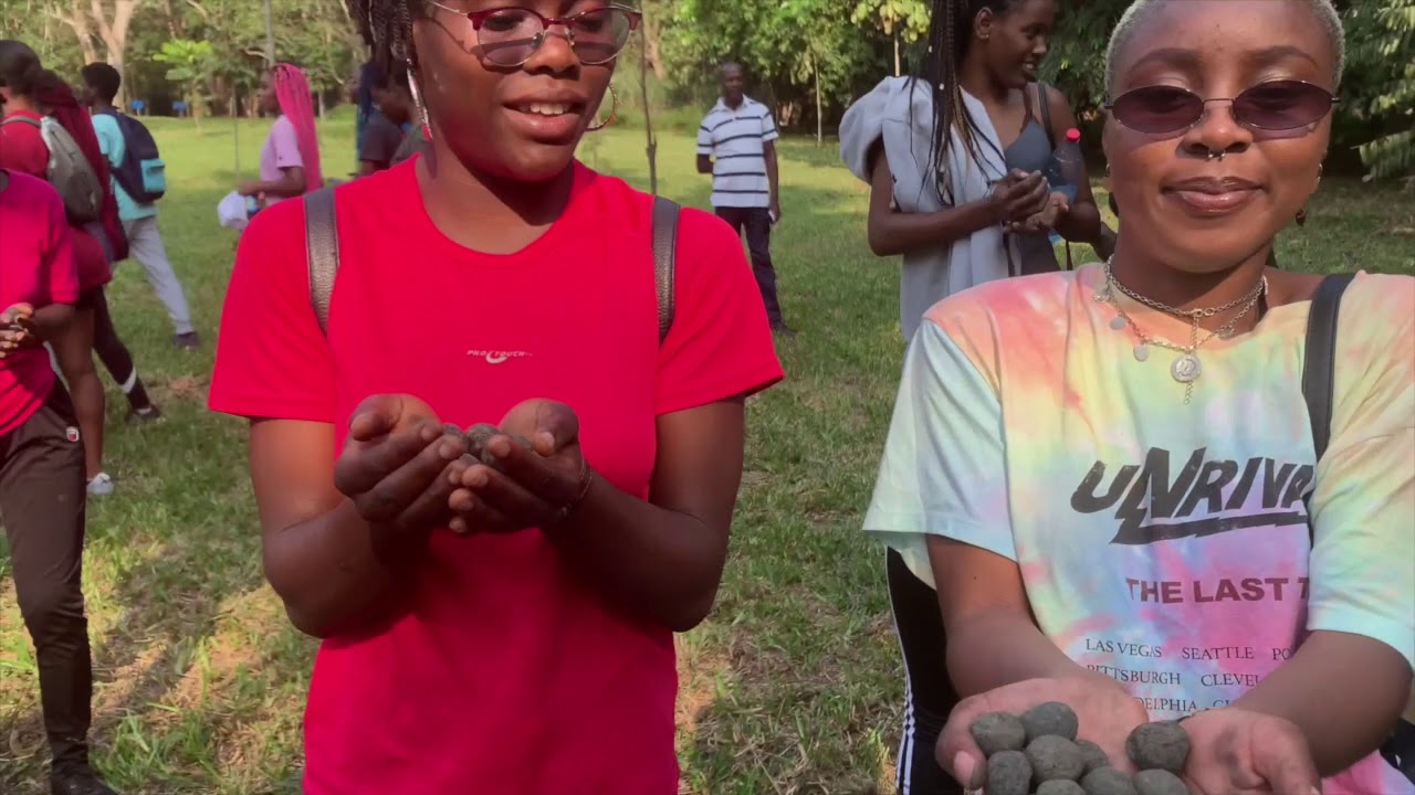 Seedballing avec l'association GOLDEN HEART au Jardin Botanique de ...