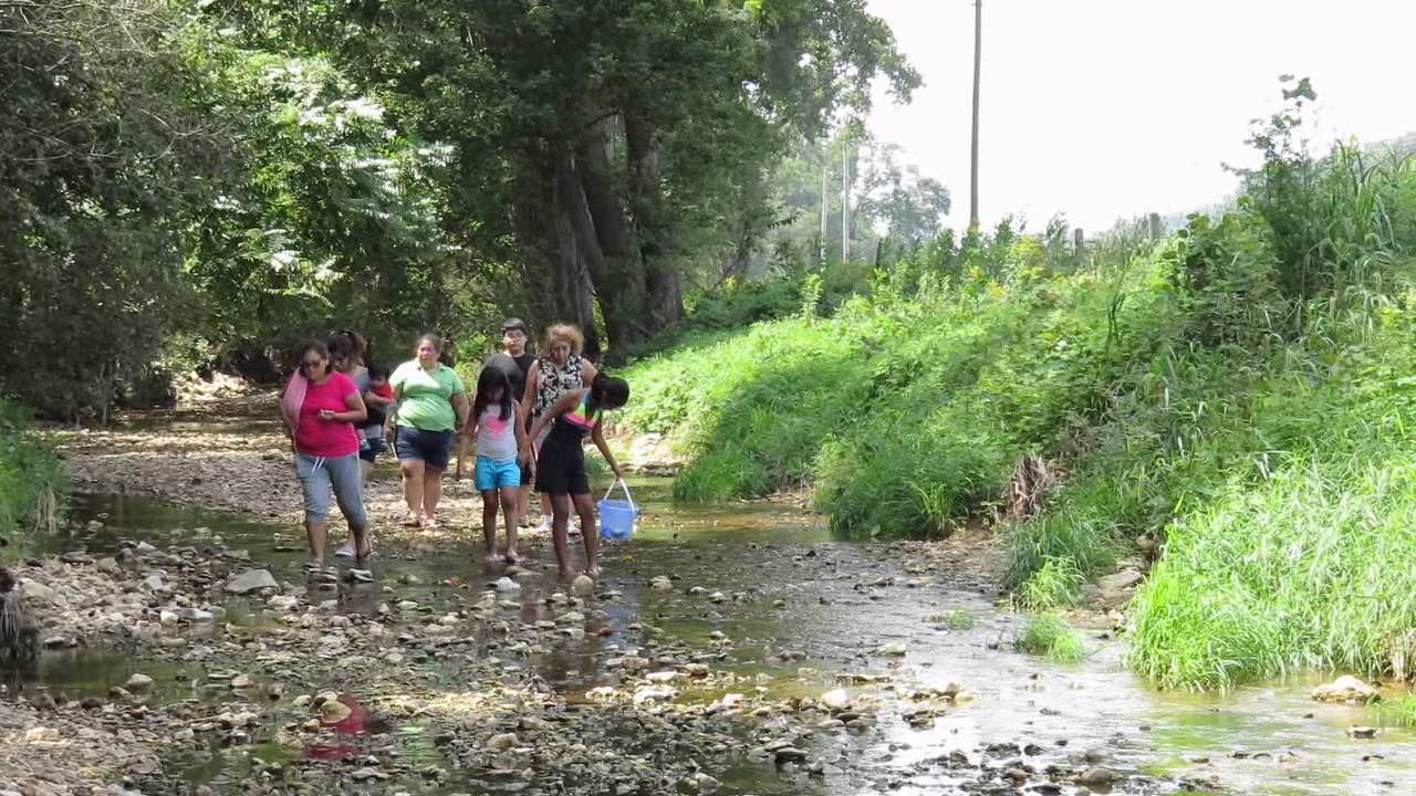 Caminando por el rio 2 - YouTube