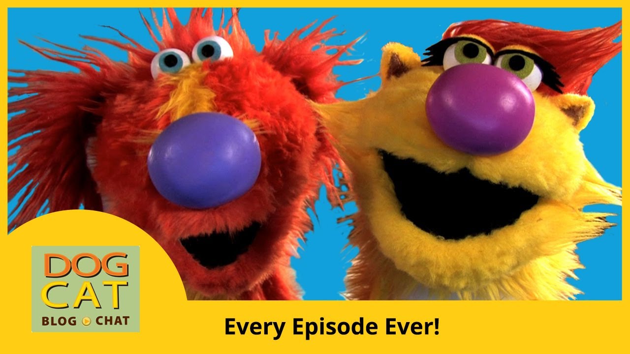 Dog Cat Blog Chat 🐕🐈 Every Episode Ever 💻📹 Early Educational Puppets ...
