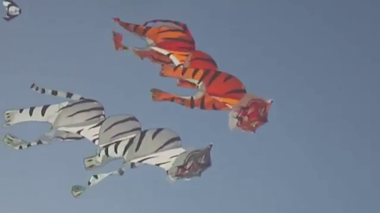 3D Tiger Kite - YouTube