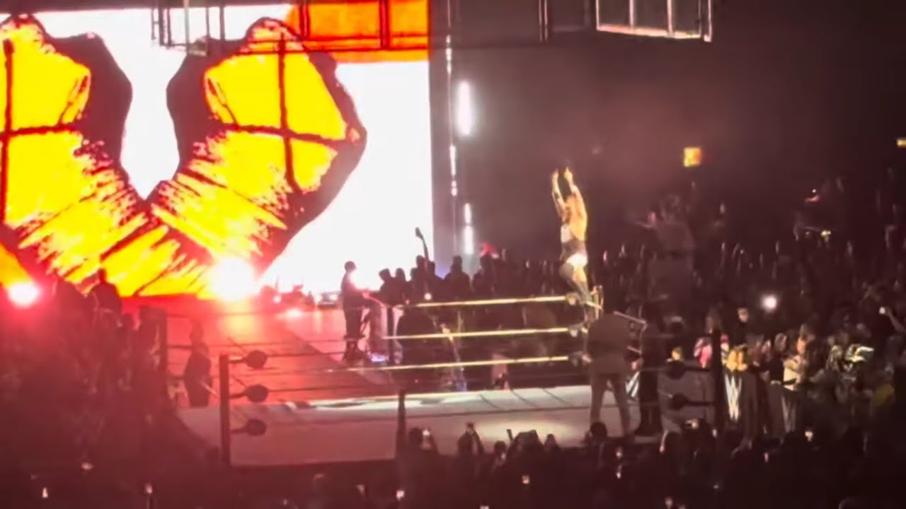 CM Punk Entrance Live at the WWE Holiday Tour 2024 - PPG Paints Arena ...