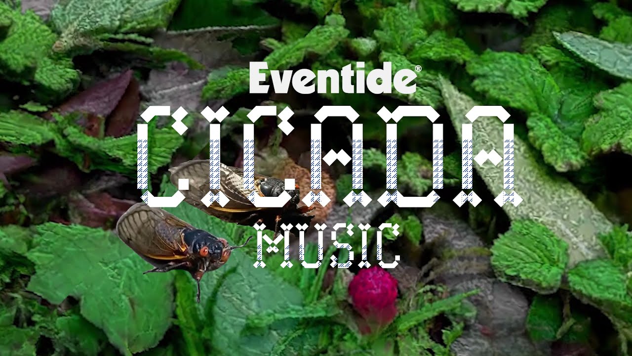 Eventide Presents: Cicada Music - YouTube