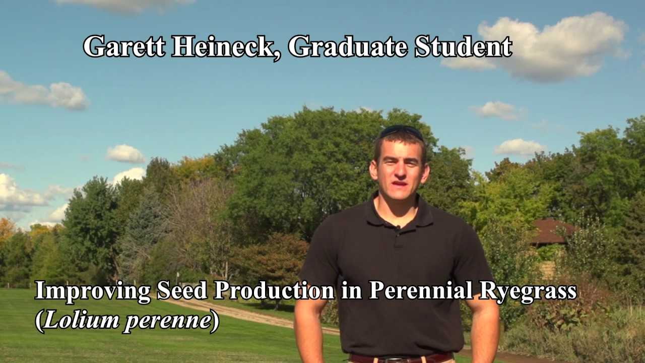 Garett Heineck Improving Winterhardiness in Perennial Ryegrass - YouTube