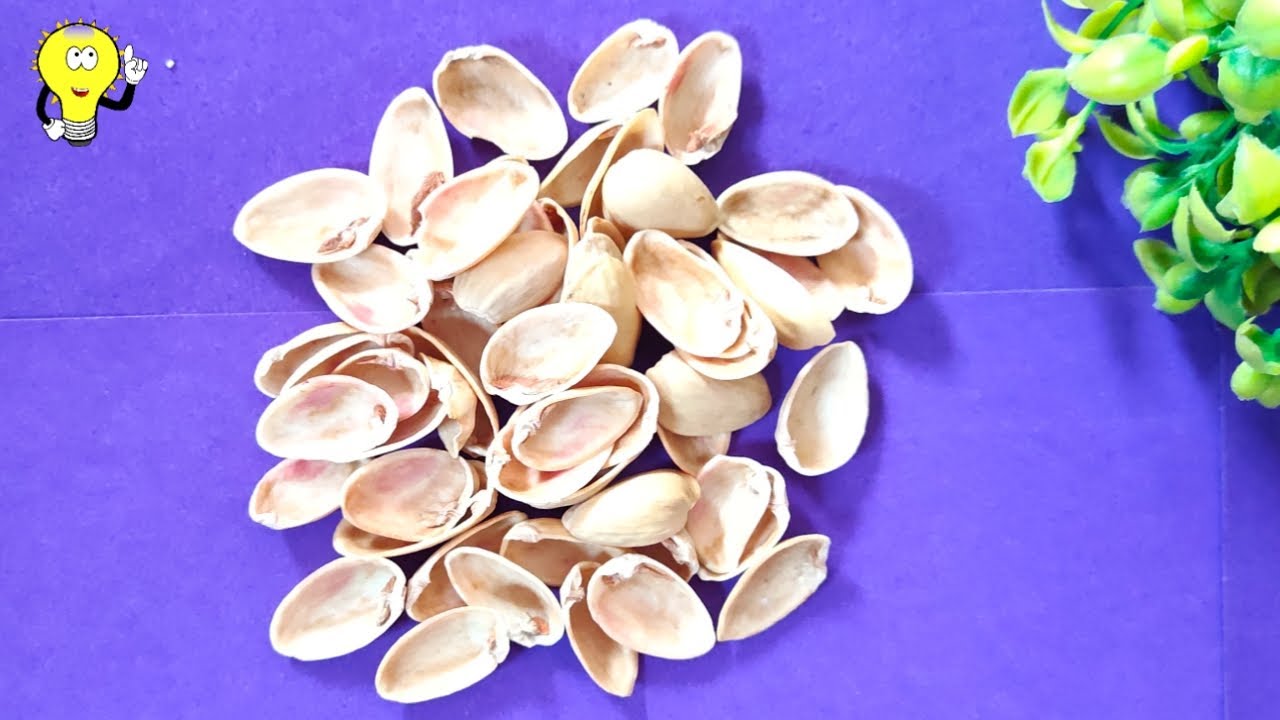 Pista Shell 5 Crafts - Waste Pista Shell Craft Idea - Pista Shell Home ...