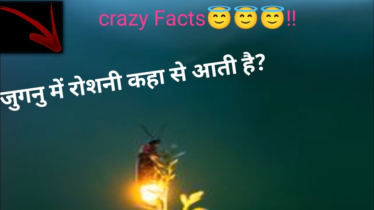 crazy Facts!! imagine Fact!! True fact!!intresting facts!!gk questions ...