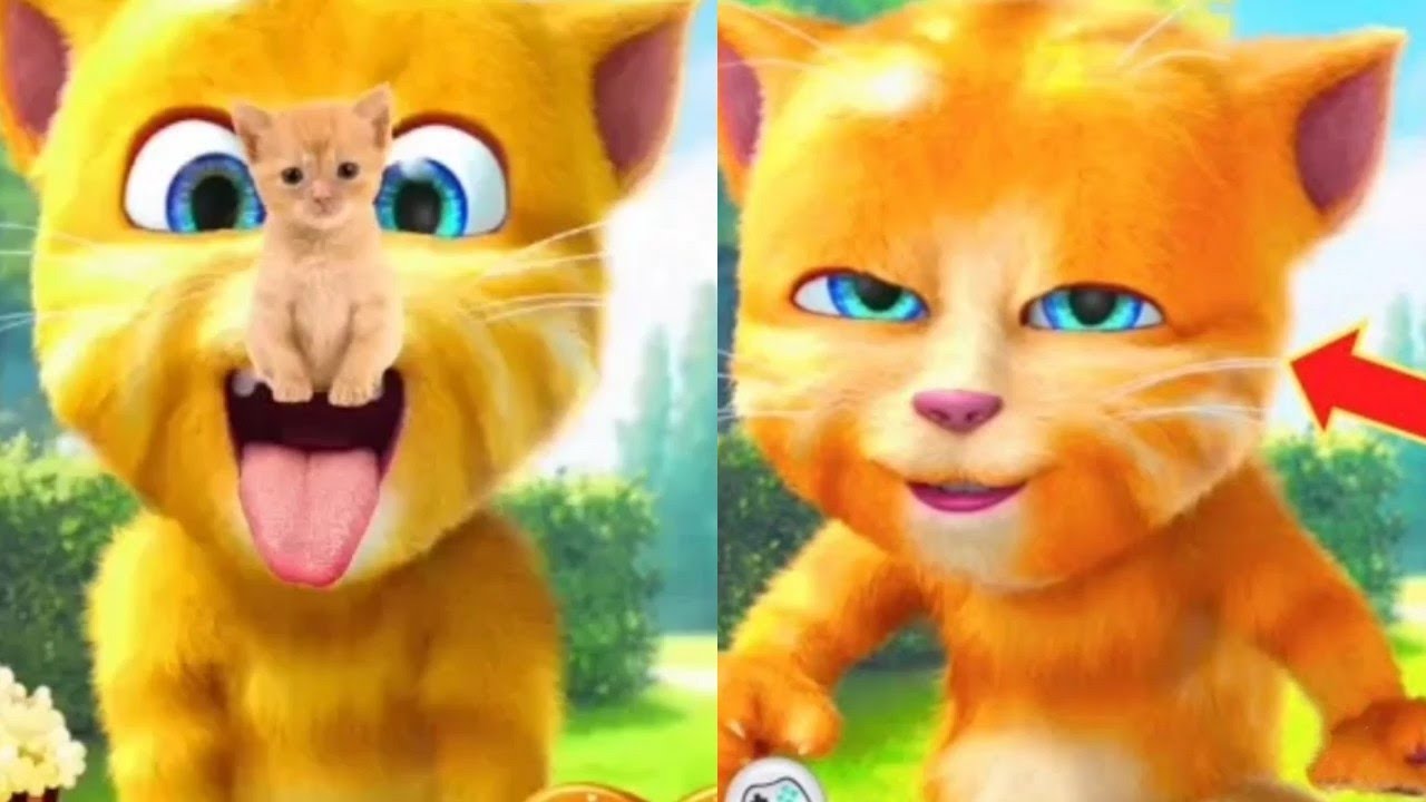 Talking Ginger 2 🍎🍓🥝🍒ll talking ginger cat ll talking ginger ll Game HD ...