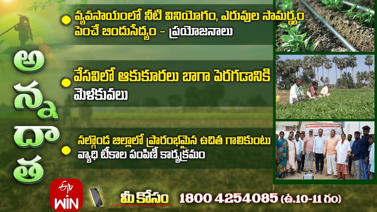 7th April 2024 | Annadata | అన్నదాత | Full Episode | ETV Telugu - YouTube