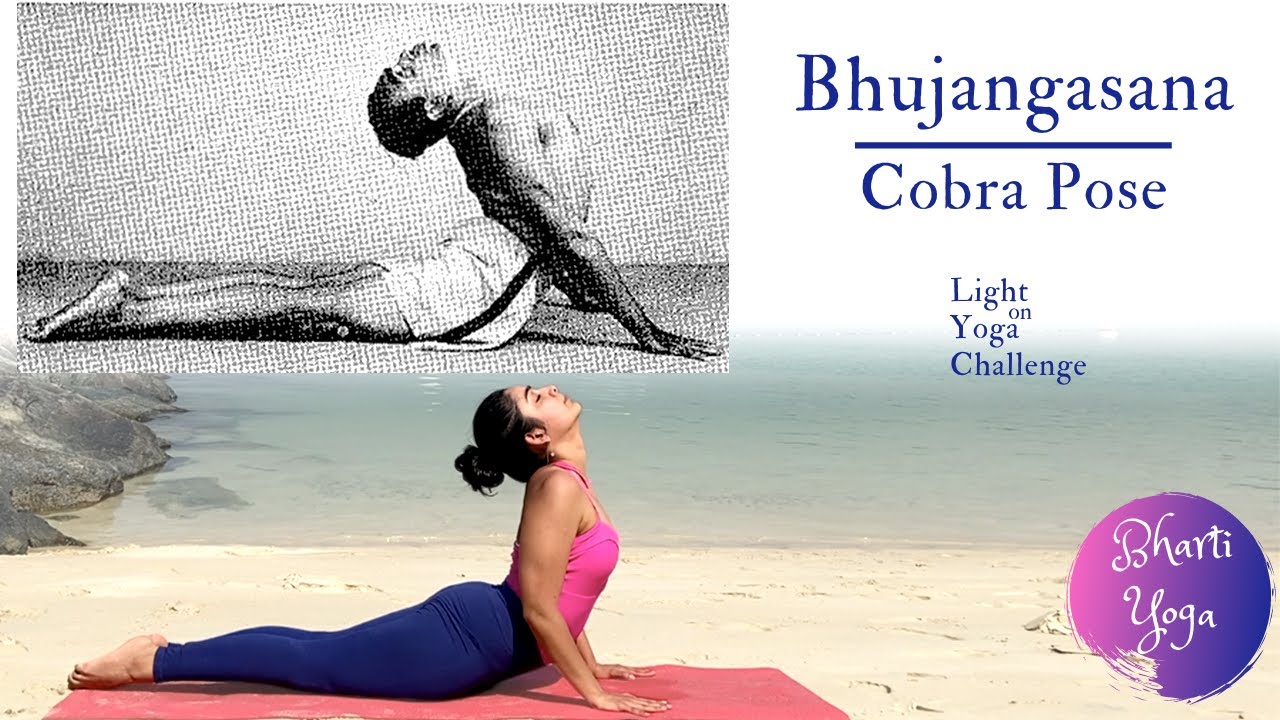 Bhujangasana | Cobra Pose | Light on Yoga Challenge | Iyengar Yoga ...