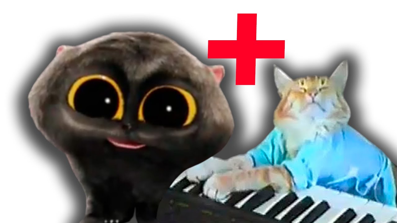 KITTEH KITTEH Scatman cat but it's vocoded to Keyboard Cat - YouTube