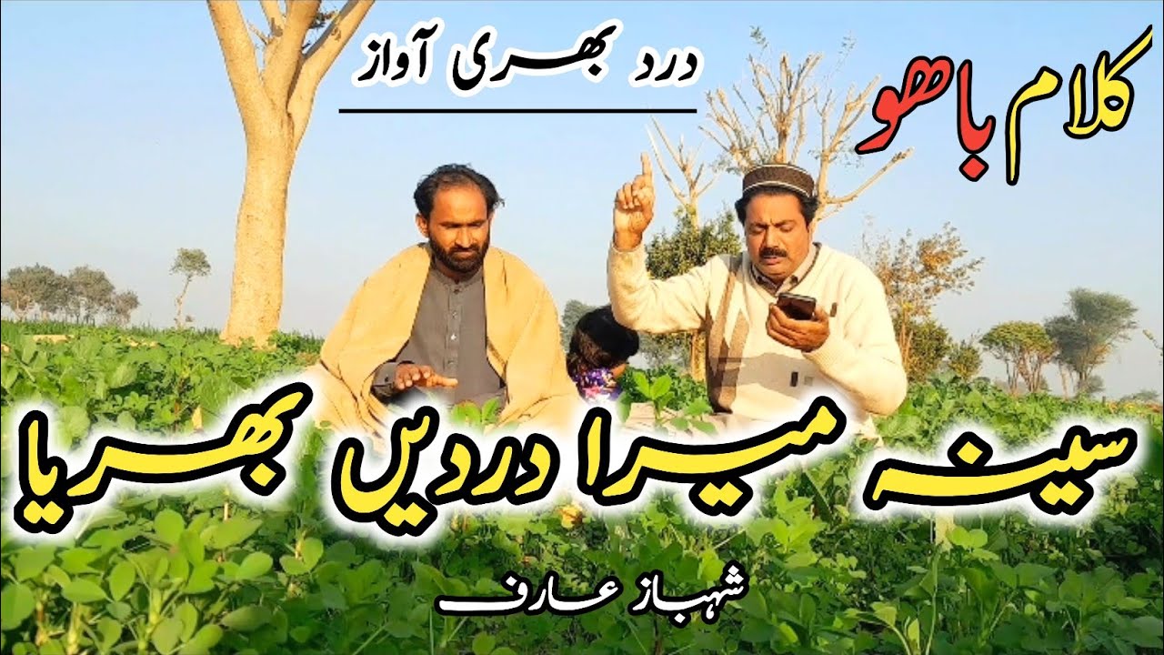 Seena Mera Dardein Bharya || Kalam e Bahu || Shahbaz Arif || Intezar ...