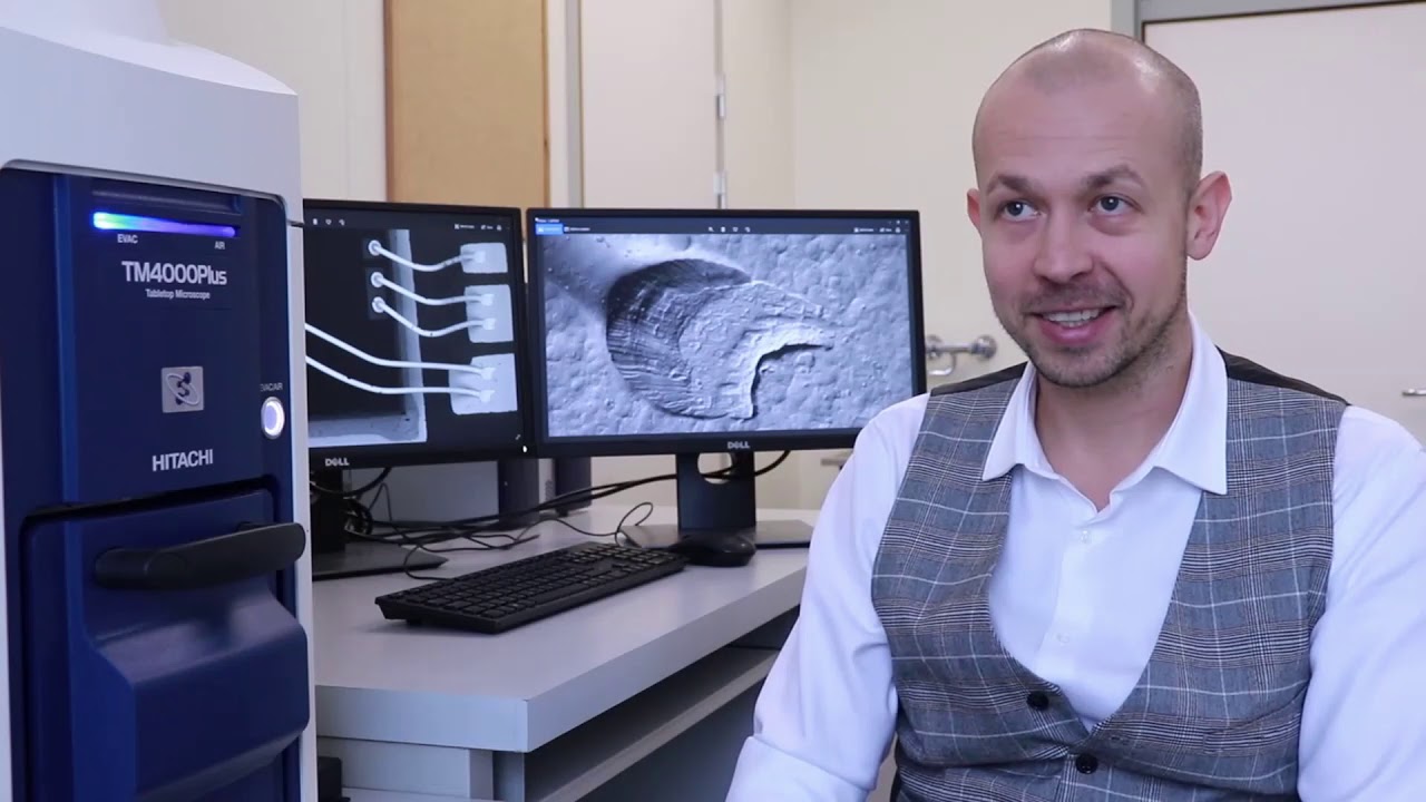 Elektronmikroszkópos megoldások kezdőknek és haladóknak - Dr. Kis ...