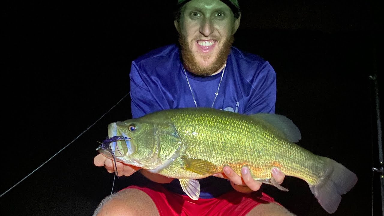 Summer Night Bass Fishing Tips *TOP SECRET* - YouTube