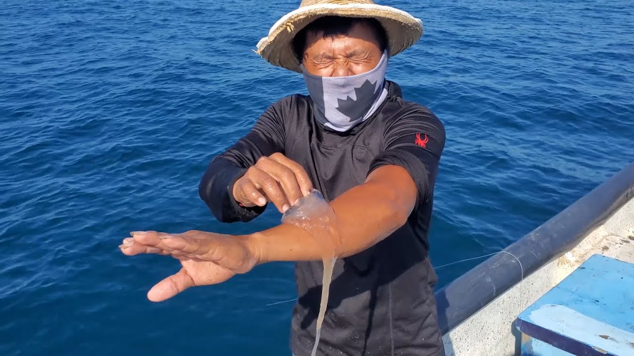 AGUA MALA (MEDUSAS) nunca, pero nunca debes tocarlas - YouTube