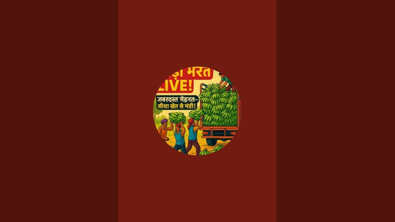 Noor Life is live - YouTube