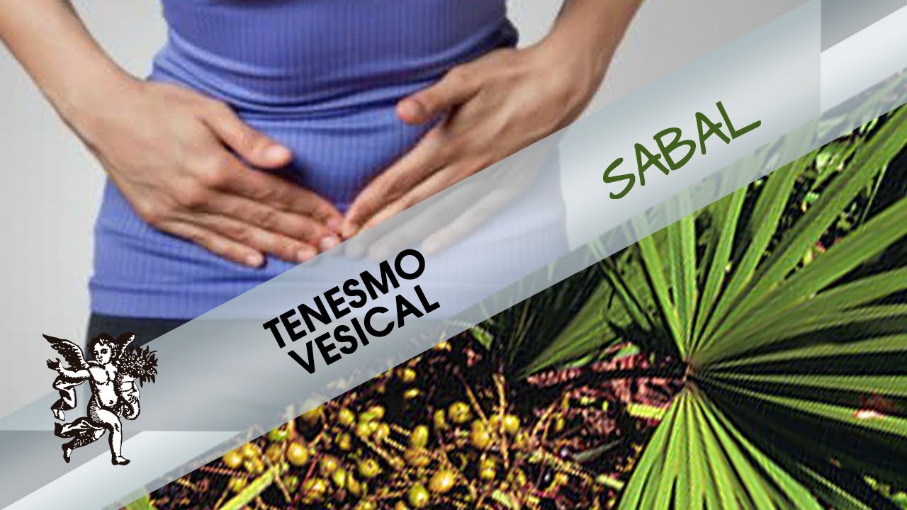 ¿Sufres de TENESMO VESICAL? El SABAL puede ser de gran ayuda. - YouTube